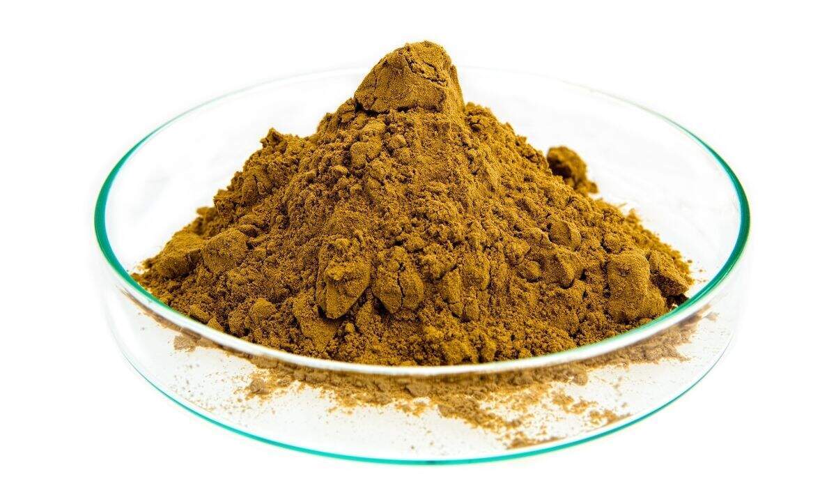 Les bienfaits de la griffe du diable, un anti-inflammatoire naturel