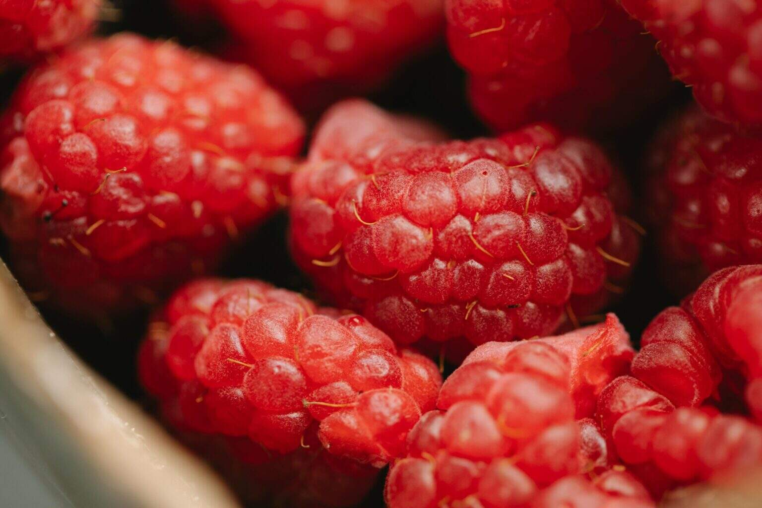 Quels sont les bienfaits de la framboise ? ~ Blog de Medoucine
